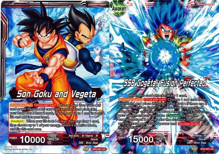 Son Goku and Vegeta // SSB Gogeta, Fusion Perfected (BT6-001) [Destroy